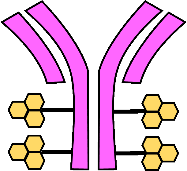Kadcyla: The Next Standard in Breast Cancer Therapy? – OncoBites