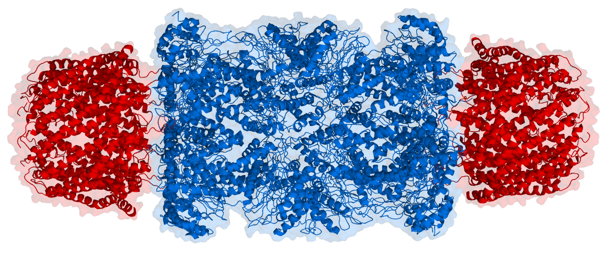 The Ubiquitin System and Why Researchers Are Targeting it for Cancer ...