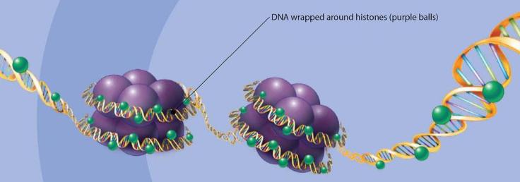 Oncohistones and their role in pediatric cancers and other human ...