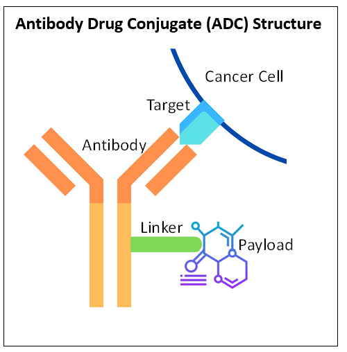 A Standing Ovation! Results From DESTINY-Breast04 trial in Breast ...