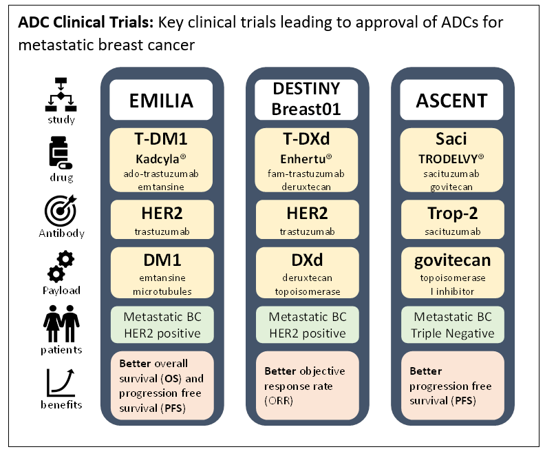 A Standing Ovation! Results From DESTINY-Breast04 trial in Breast ...
