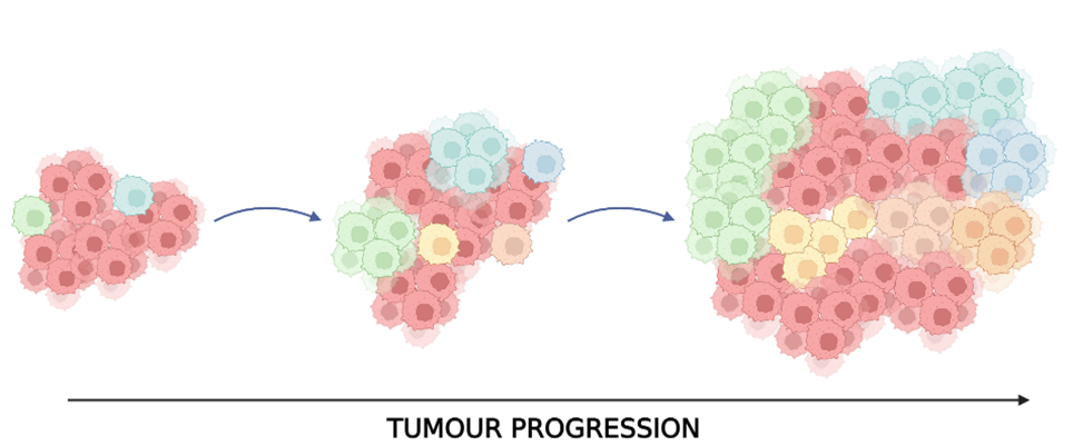 Tracing the Footsteps of Lung Cancer – OncoBites