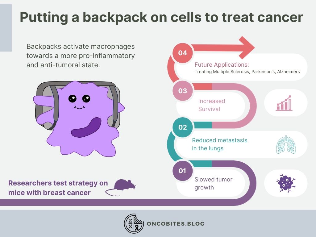 Putting a Backpack on Cells to Treat Cancer – OncoBites