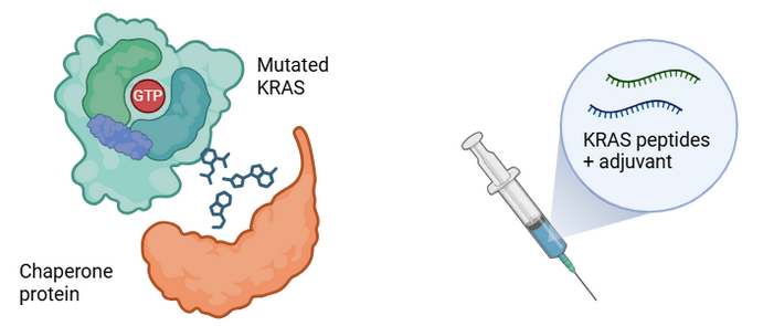 Targeting the undruggable: Updates in KRAS directed therapies – OncoBites