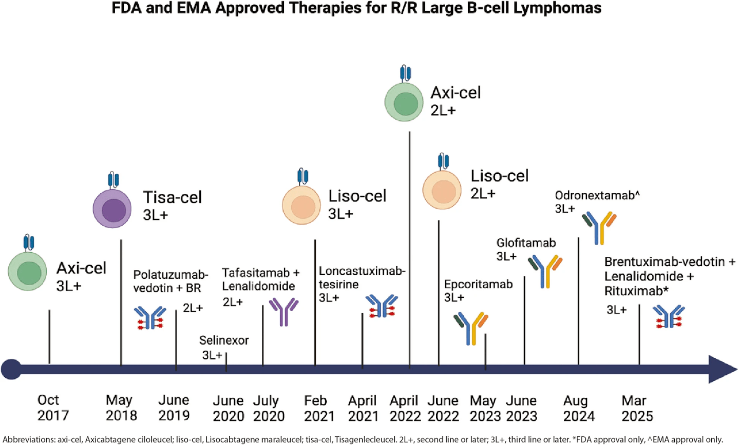 Primary Refractory And Relapsed Diffuse Large B Cell Lymphoma Current